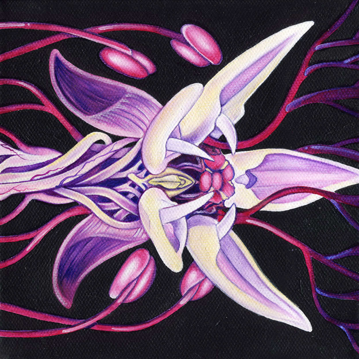 ELSIANE HYBRID | Krista Bursey